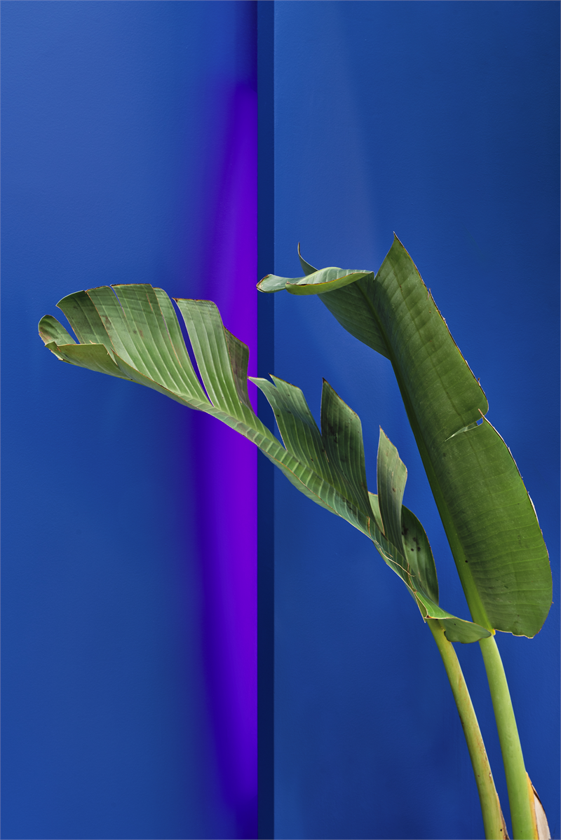 REGI Laboratories - Sara Ricciardi Studio