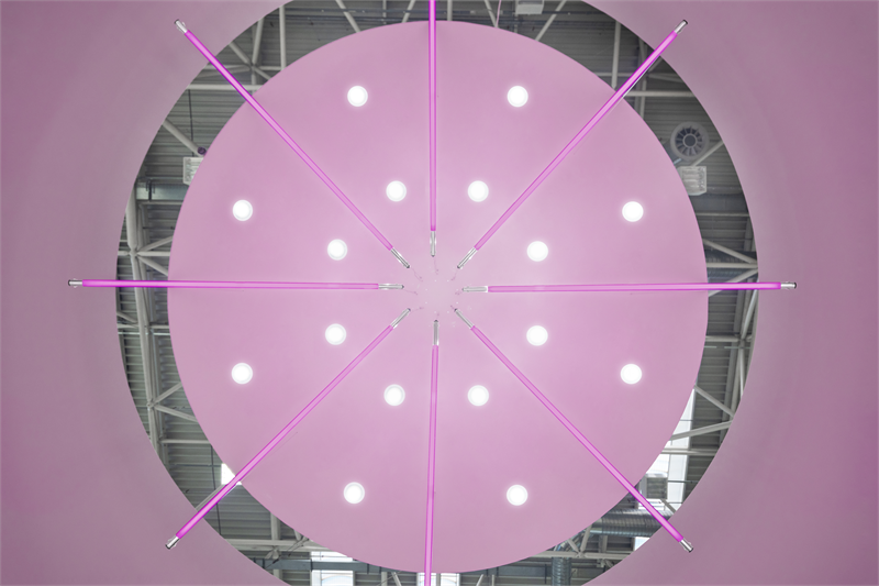 REGI Laboratories - Sara Ricciardi Studio